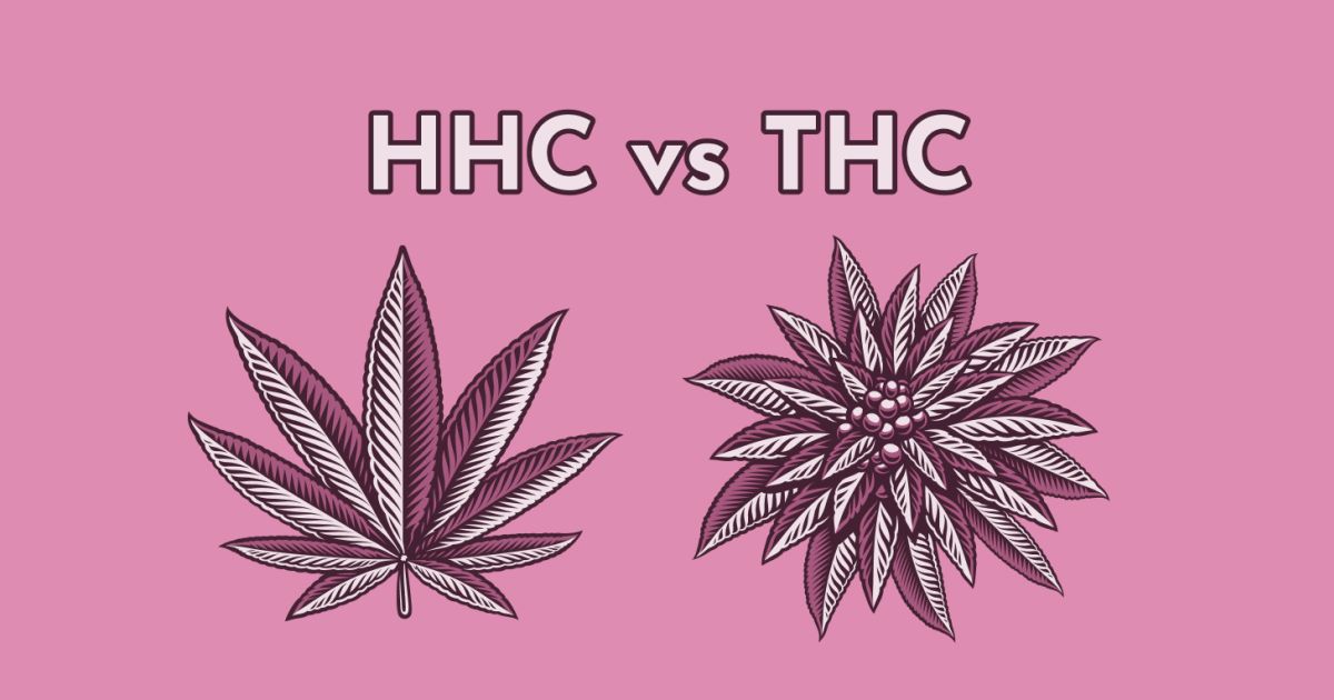 Hhc Vs Thc Cannabis Compound Comparison
